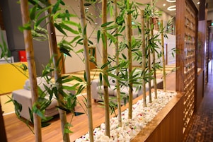 Uma área de recepção com arranjo de plantas de bambu, um balcão de madeira e uma sala de estar com parede amarela e sofá branco.