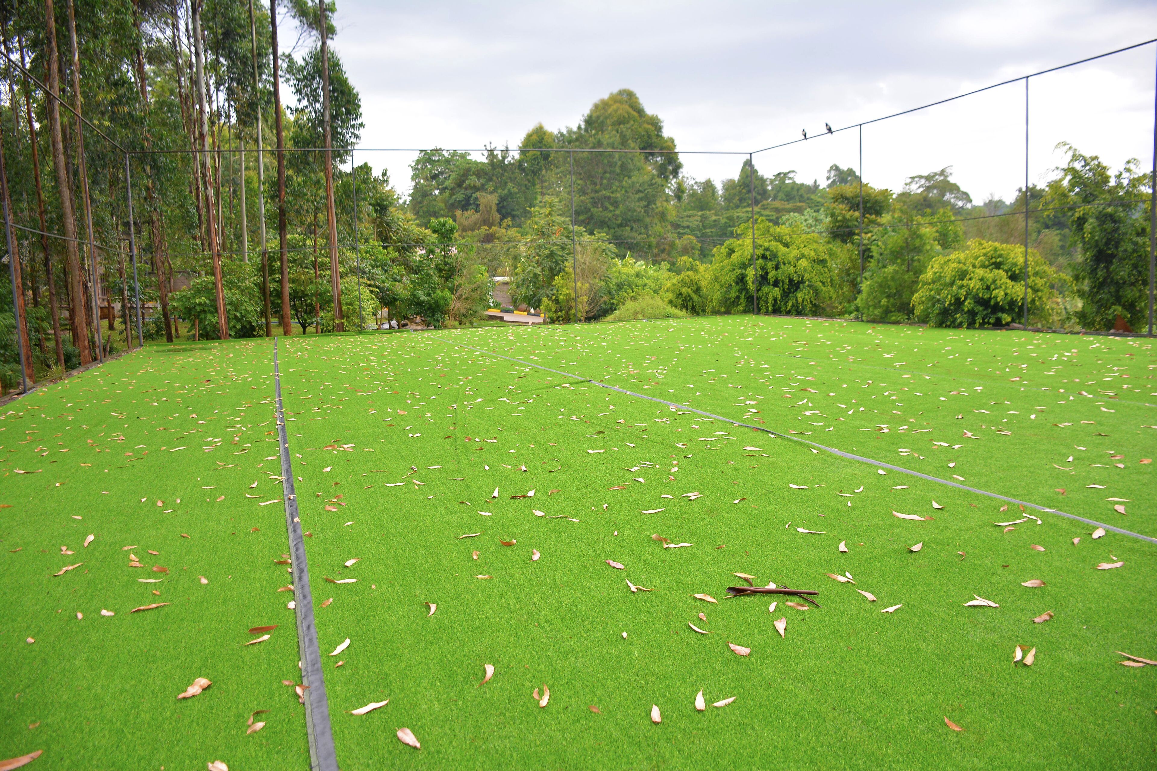 Um grande campo aberto com superfície verde e folhas espalhadas.