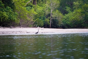 Ecoturismo