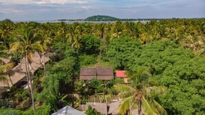 Paisagem tropical com palmeiras densas, um pequeno edifício com telhado vermelho e uma colina distante.