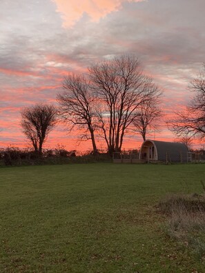 Cabana, 1 cama Queen e sofá-cama | Área da propriedade