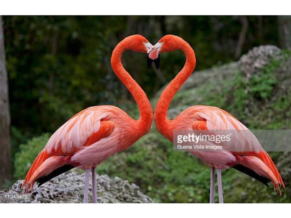 Holidays In Paradise - Nuevo Vallarta