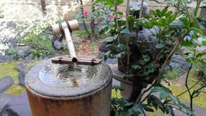 Um elemento decorativo de pedra com um bocal de bambu em um jardim.