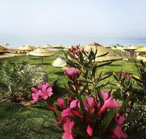 Na praia, serviço de traslado de/para a praia grátis 