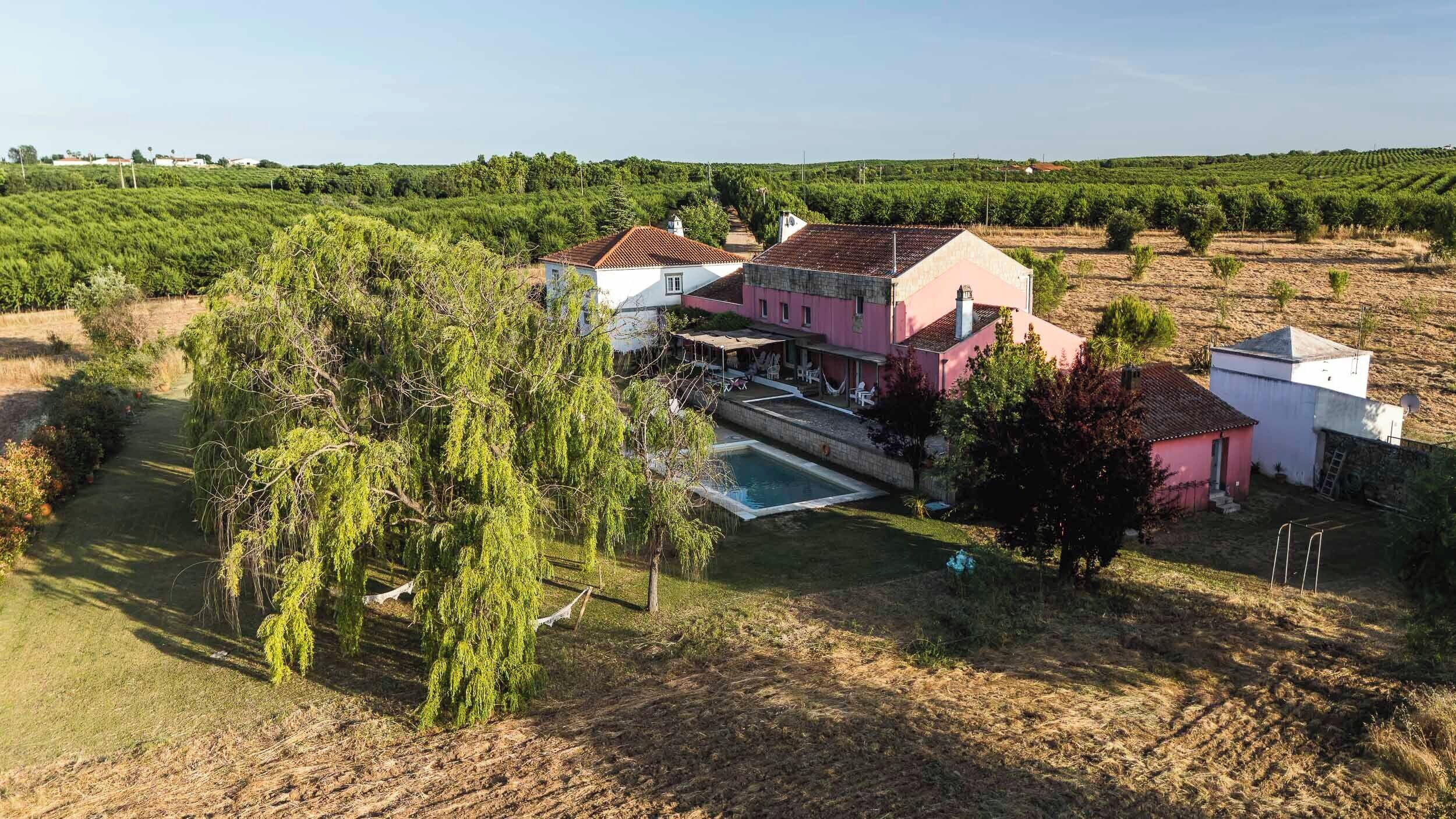 Uma casa grande com piscina, rodeada por vegetação exuberante e vinhedos.