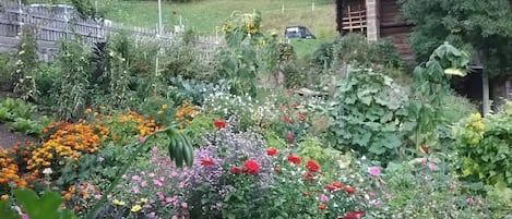 Chalé | Área da propriedade