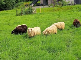Casa | Comodidades da propriedade
