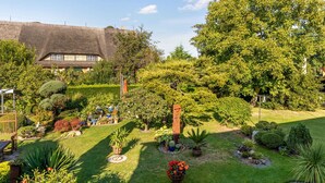 Um jardim com diversas plantas e um edifício com telhado de palha.