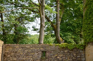 Mural de pedra com uma pequena janela, cercada por árvores verdes e exuberantes.