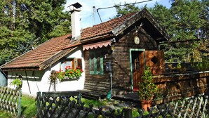 Uma cabana de madeira com telhado de telhas, chaminé e porta de madeira.