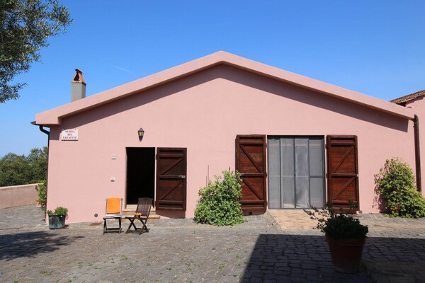 Farmhouse Montalto Near Sandy Beaches - Montalto di Castro