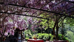Pátio externo com mesas e cadeiras, coberto por uma pérgola com trepadeiras roxas floridas.