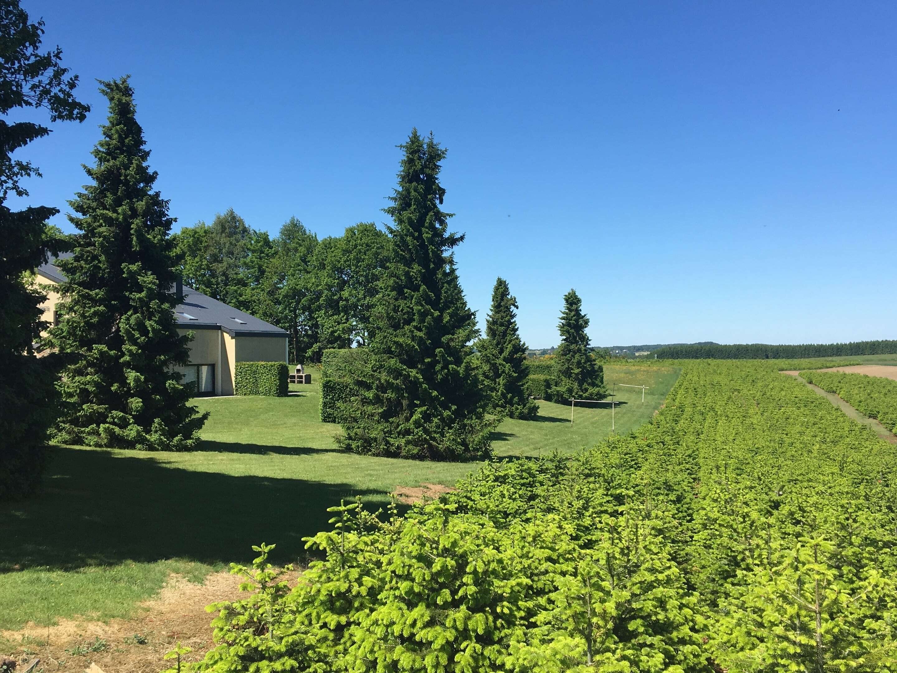 Apartamento | Vista do alojamento