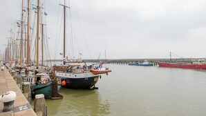 Uma marina com vários barcos atracados, um píer de madeira e uma ponte ao fundo.