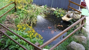 Um pequeno lago com uma ponte de madeira, rodeado por vegetação e flores amarelas.