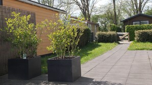 Um caminho que leva a uma área residencial, com duas plantas em vasos e uma cerca de madeira.