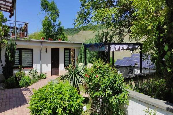 Apartment In Wehlen By Moselle Vineyards - Bernkastel-Kues