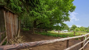 Uma cerca de madeira rústica, um caminho de terra e um pequeno bebedouro em um ambiente natural.