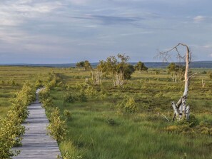 Apartamento | Vista do alojamento