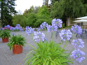 Casa | Vista do alojamento