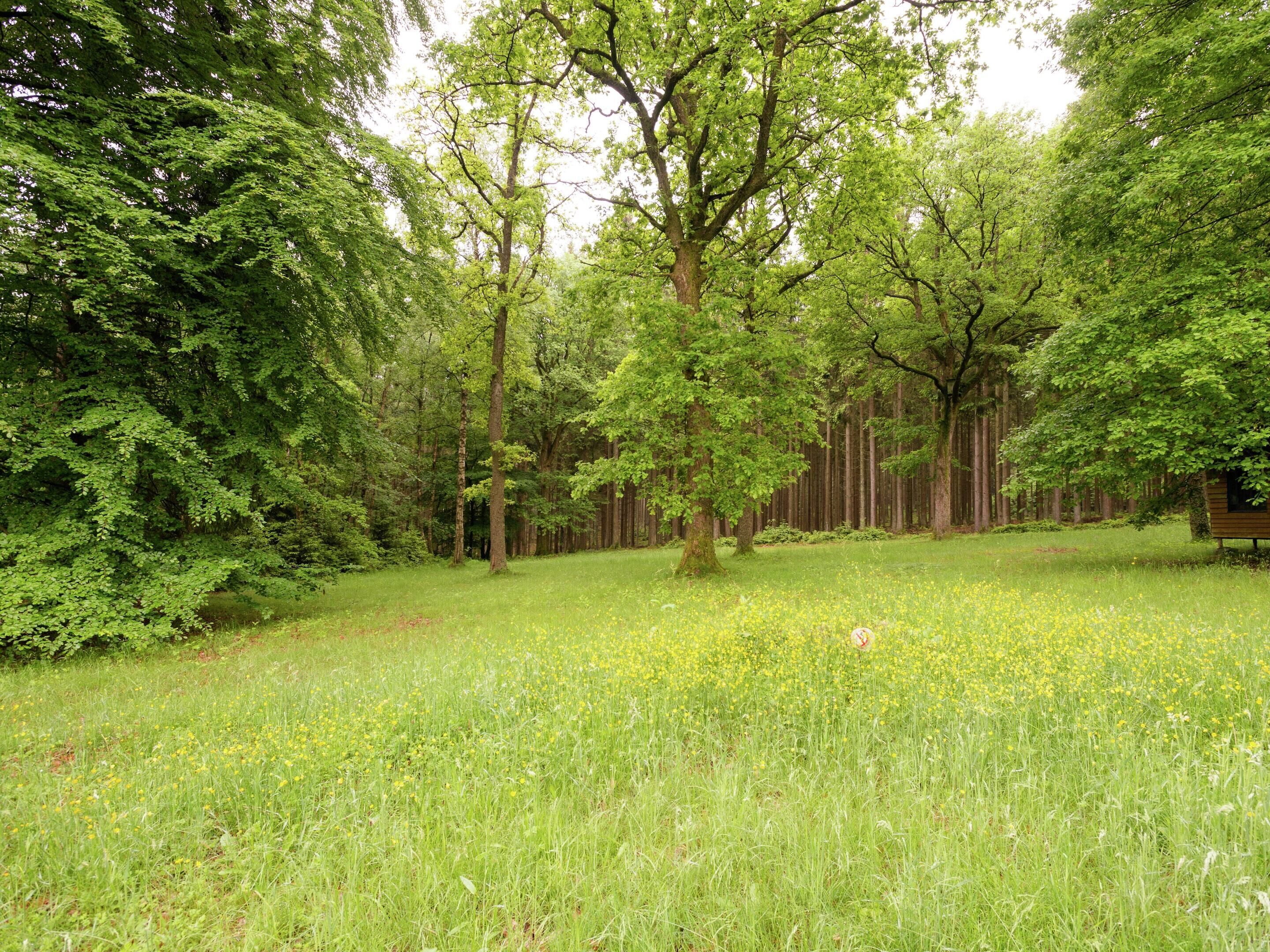 Casa | Vista da propriedade