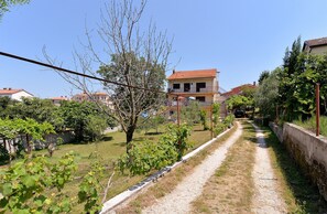 Uma estrada rural com um vinhedo de um lado e uma área residencial com casas e um edifício com telhado vermelho ao fundo.