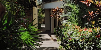 Entrada