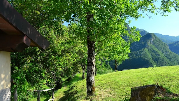 Uma cabana rústica com deck de madeira e parede de pedra, rodeada por vegetação exuberante e um cenário montanhoso.