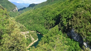 Um vale verdejante com um rio, cercado por floresta densa e colinas.