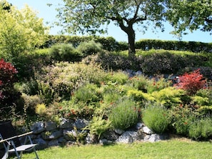 Um jardim ajardinado com diversos tipos de plantas e uma árvore.