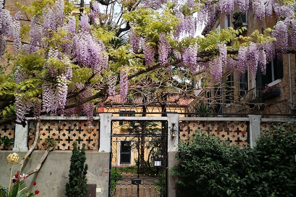 Entrada (vista interior)
