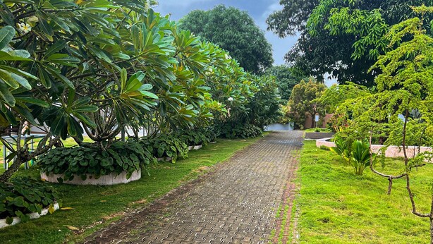 Uma trilha pavimentada, bordeada por vegetação exuberante e árvores, que conduz a um edifício ao longe.