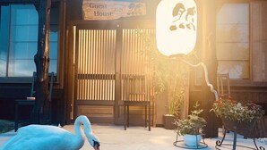 Um cisne em frente a um prédio com uma placa que diz 'Guest House'.