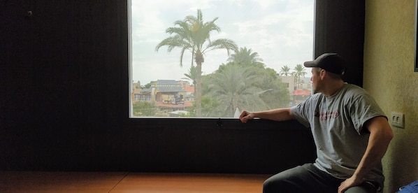 Vista para a cidade desde o alojamento
