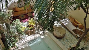 Um pequeno jardim interno com um elemento de água, um sofá com almofadas e diversas plantas.