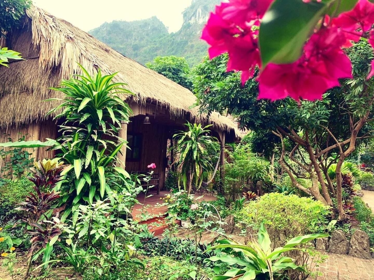 Uma cabana com telhado de palha rodeada por vegetação exuberante e plantas tropicais.
