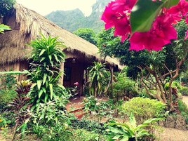 Uma cabana com telhado de palha rodeada por vegetação exuberante e plantas tropicais.