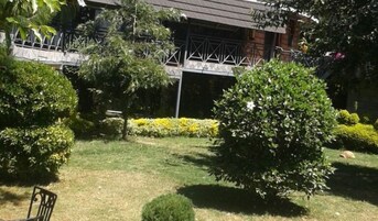 Um jardim com pérgola de madeira, arbustos variados e gramado.