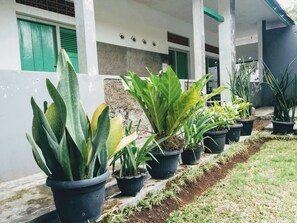 Uma fileira de plantas em vasos em frente a um edifício com portadas verdes e fachada branca.