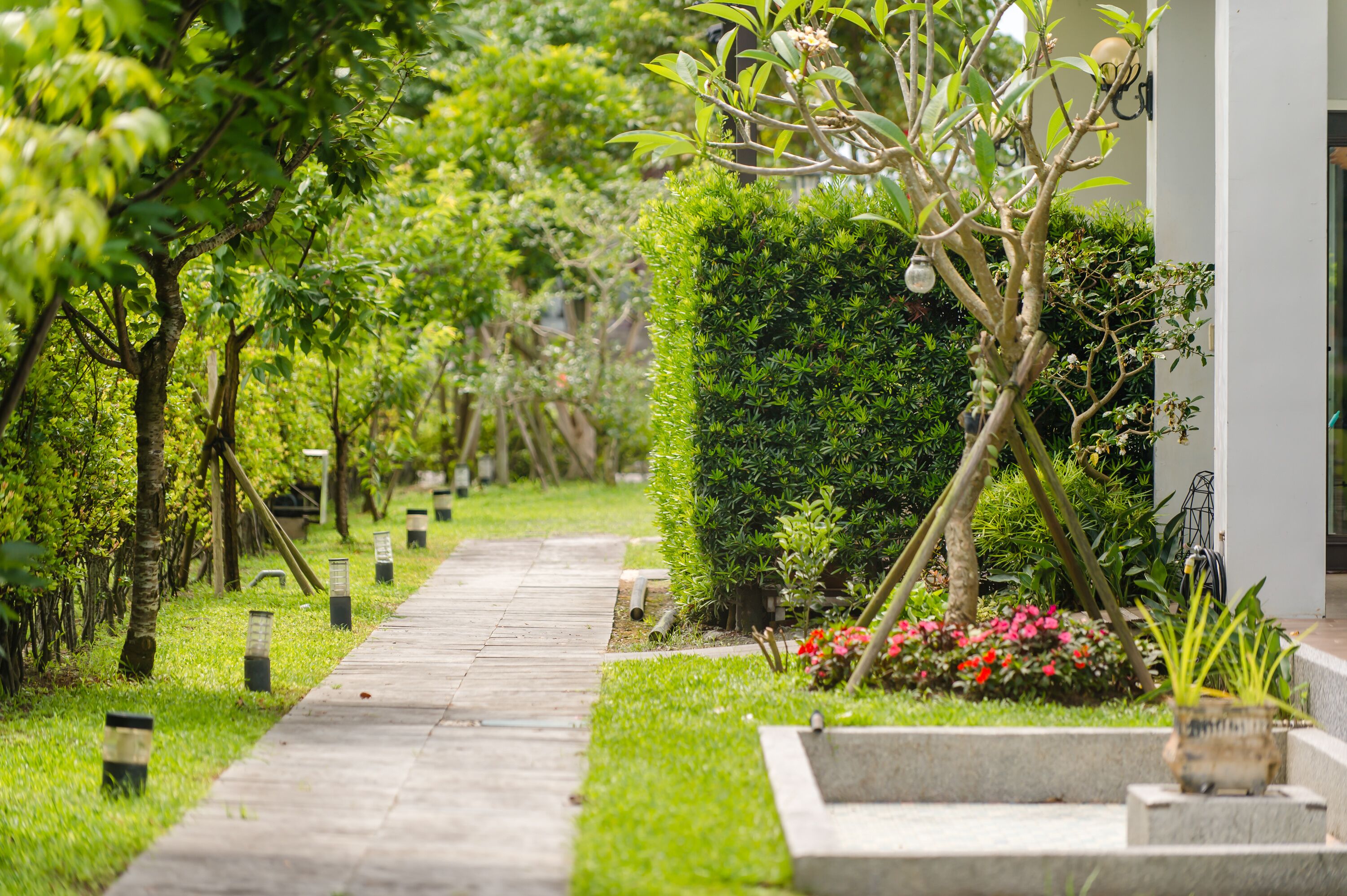 Jardim