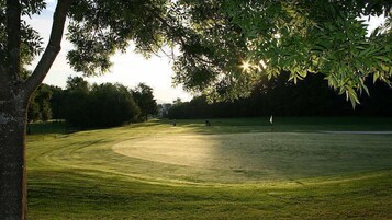 Um campo de golfe com fairway bem cuidado, putting green e haste de bandeira.