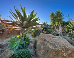 Apartamento Superior | Vista para o jardim