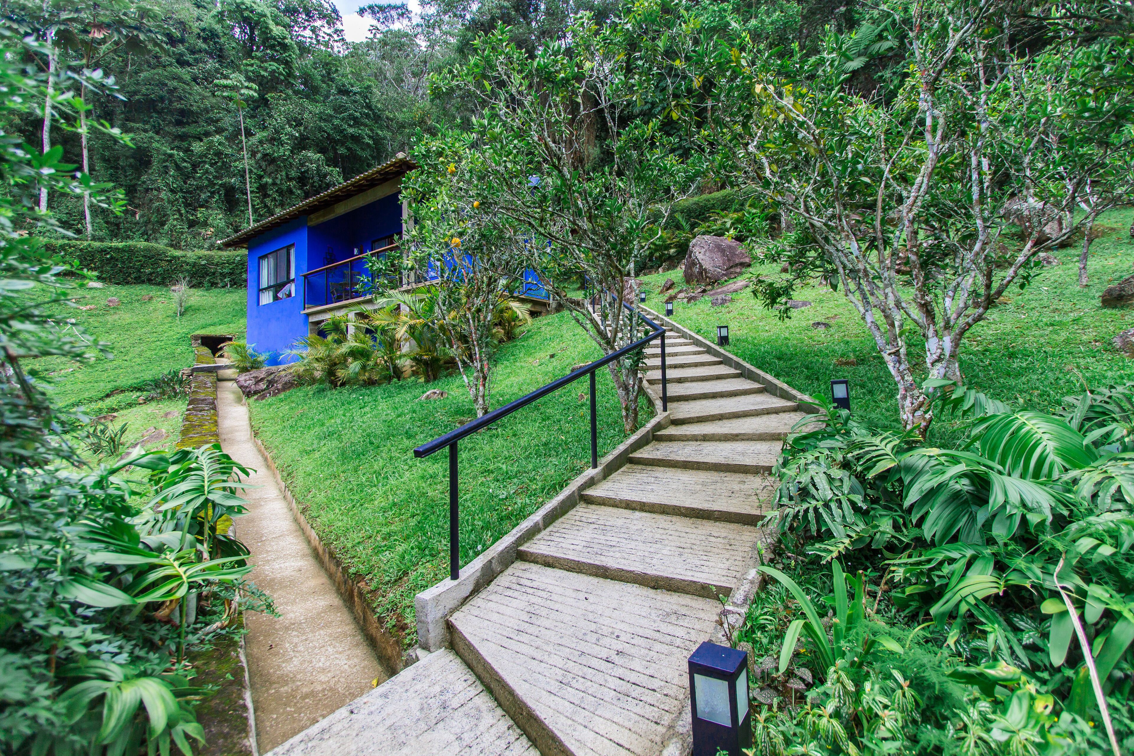 Uma escadaria de madeira leva a um edifício azul cercado por vegetação exuberante.