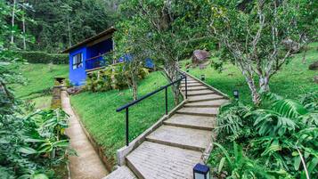 Uma escadaria de madeira leva a um edifício azul cercado por vegetação exuberante.