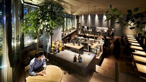Um restaurante moderno com área de bar, assentos e uma grande planta dentro.