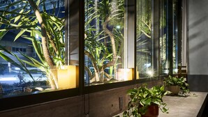 Quarto com uma grande janela com vista para uma rua à noite, com várias plantas em vasos no parapeito e um pequeno jardim interno visível pela janela.