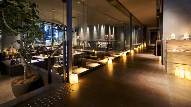 Um restaurante moderno com um balcão longo, iluminação ambiente e uma grande planta em vaso.