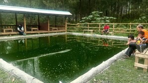 Um lago retangular com um deck de madeira e área coberta para sentar.
