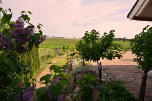 Apartamento (Reet - Meerblick - Terrassenwohnung S) | Terrenos do alojamento