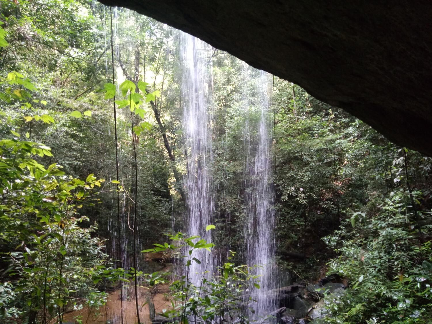 Uma cascata descendo por uma área arborizada, vista da entrada de uma caverna.